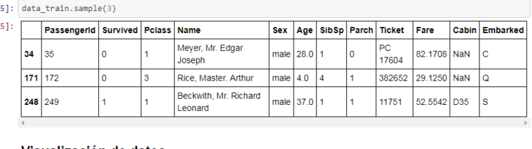 Análisis del conjunto de datos Titanic con Python - CodigosPython
